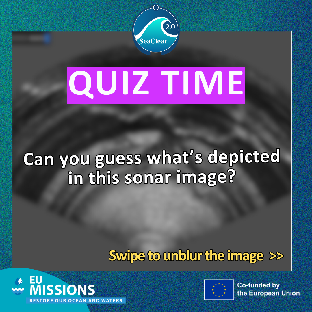 QUIZ TIME! Can you guess what’s depicted in this sonar image? – SeaClear2